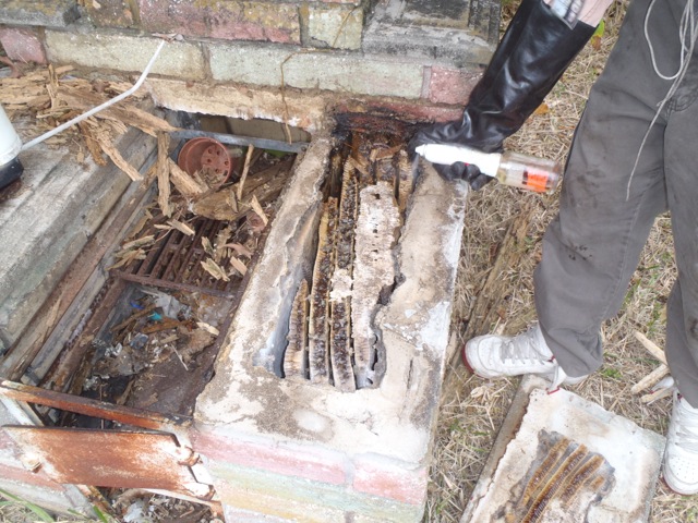 Bee Removal Exterminator Boynton Beach | Bee Removal Specialists