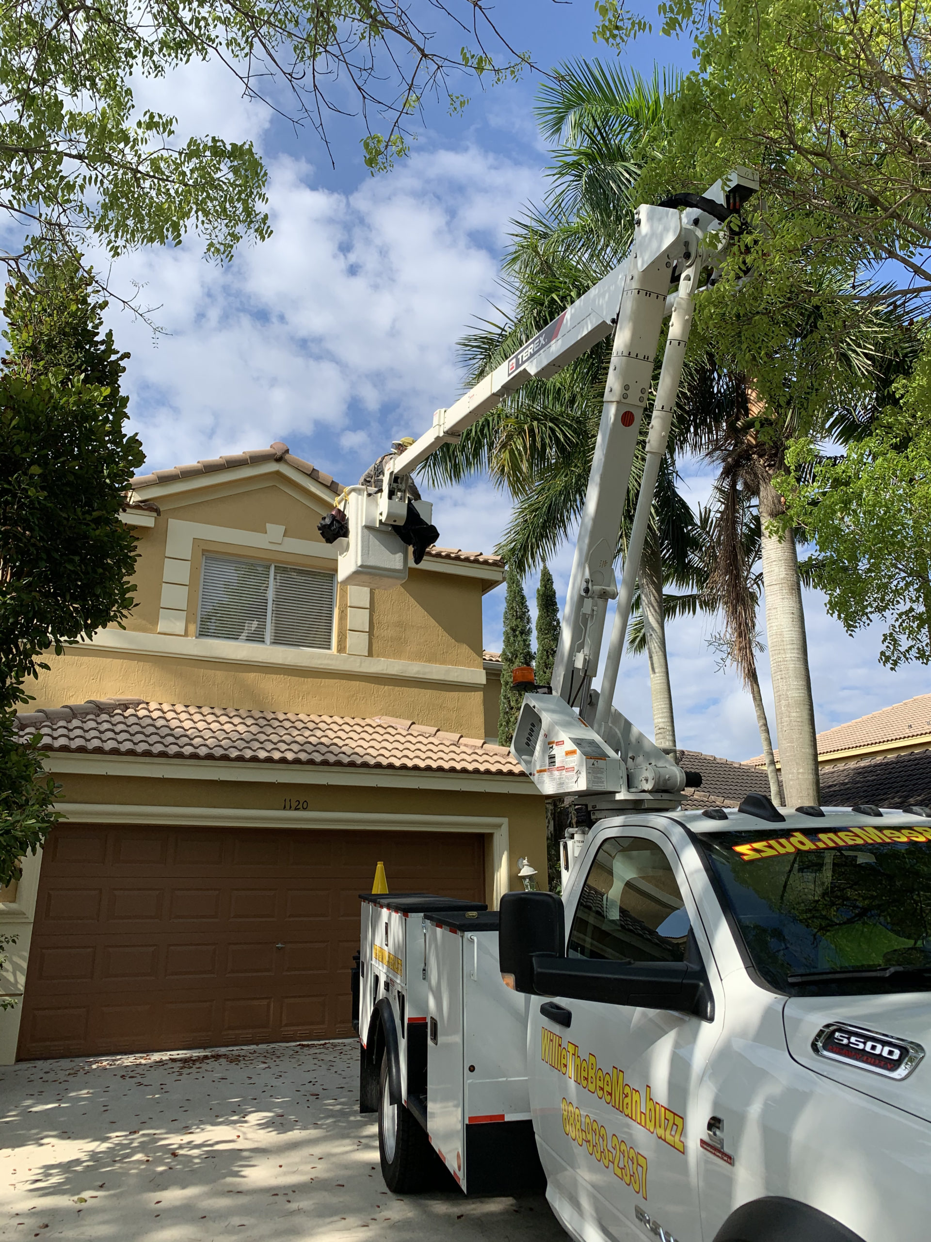 Home | Bee Removal Specialists