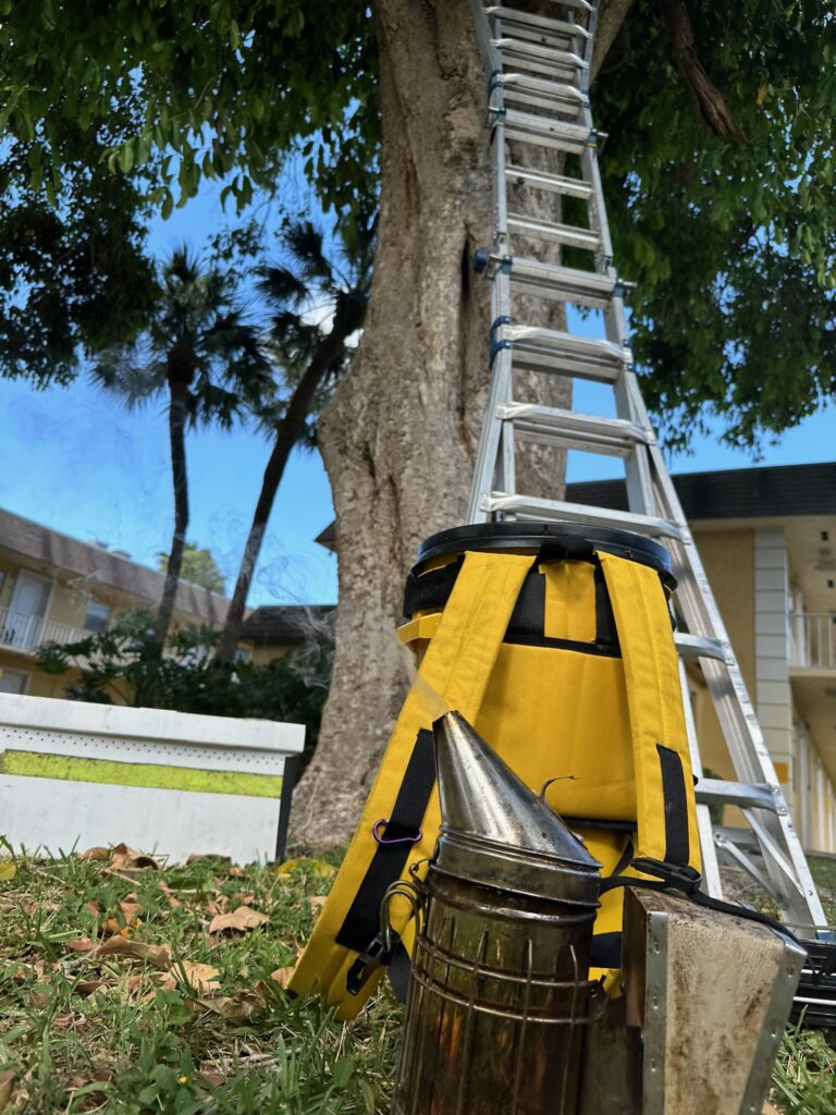Home | Bee Removal Specialists